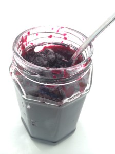 Blueberry cheesecake cupcakes and fruit goo – Yellywelly